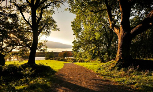 Allensford Holiday Park - Meridian Parks
