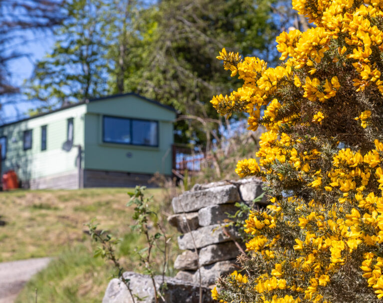 Fineburn Caravan Park - Meridian Parks