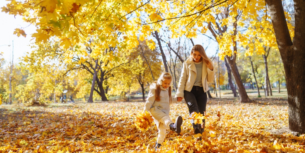 October Half Term in Scotland: Top Activities and Days Out