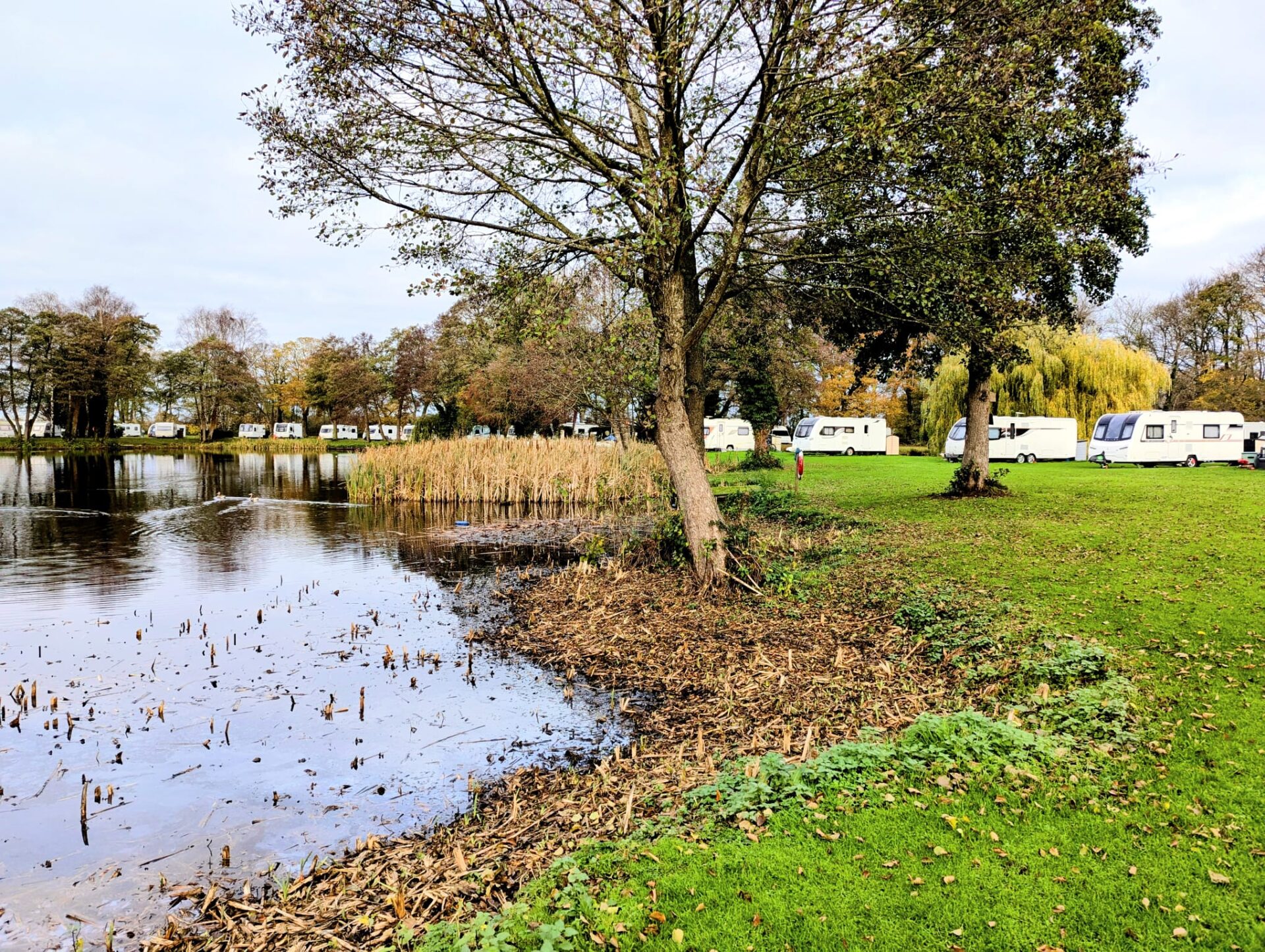 Carlton Miniott Holiday Park - Meridian Parks